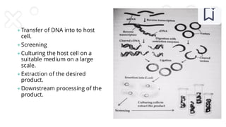 INTERFERONS1-1.pdf basic knowledge of interferons | PPT