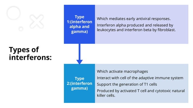 INTERFERONS1-1.pdf basic knowledge of interferons | PDF