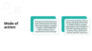 INTERFERONS1-1.pdf basic knowledge of interferons | PPT