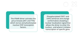INTERFERONS1-1.pdf basic knowledge of interferons | PPT