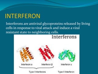Interferons group assignment BY RIZWAN ULLAH | PPT