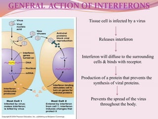 Interferons & interleukines | PPTX