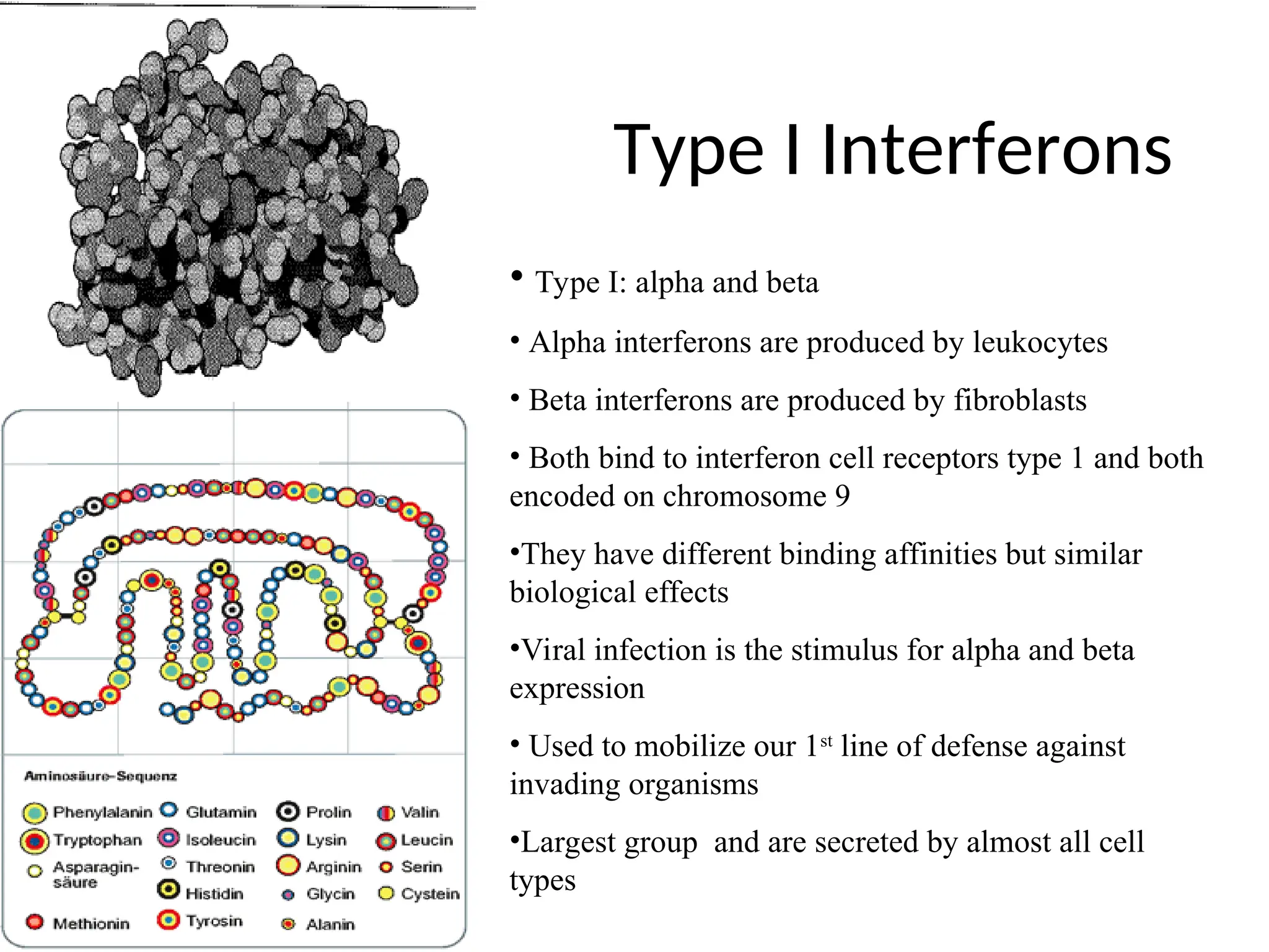 Interferons, types, actions and interferon drugs.ppt