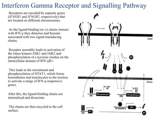 Interferons, types, actions and interferon drugs.ppt