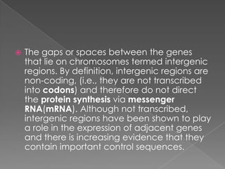 Intergenic segments | PPTX