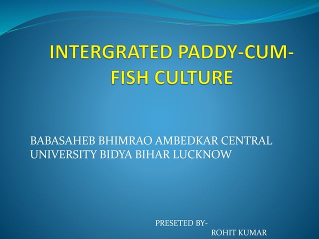 Intergrated paddy cum-fish culture | PPTX