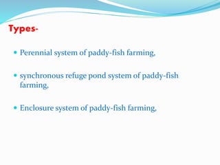 Intergrated paddy cum-fish culture | PPTX