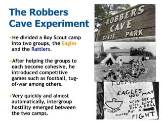 Intergroup Conflict | PDF