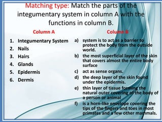 Intergumentary System.pptx