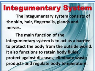 Intergumentary System.pptx | Nail Care | Beauty