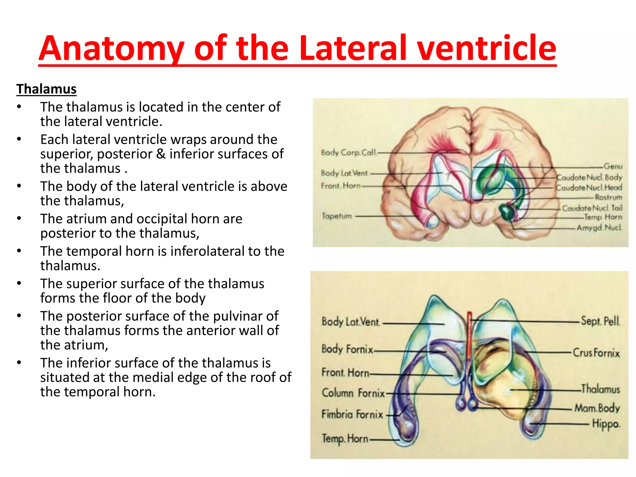 Surgical approach for tumors in the lateral and third ventricle | PPTX