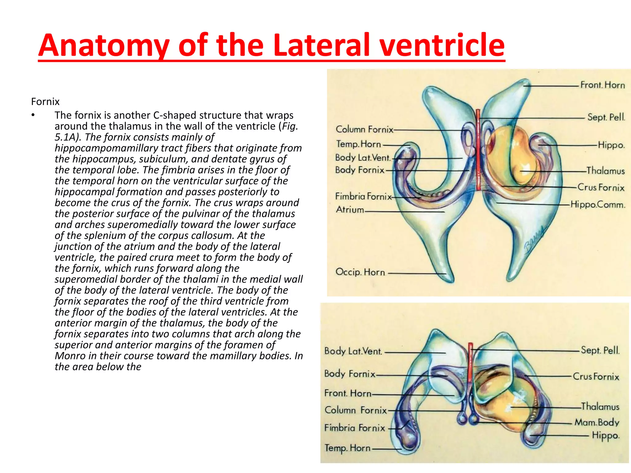 Surgical approach for tumors in the lateral and third ventricle | PPTX