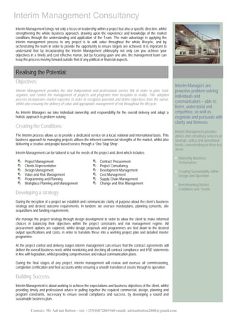 Interim Management Group | PDF