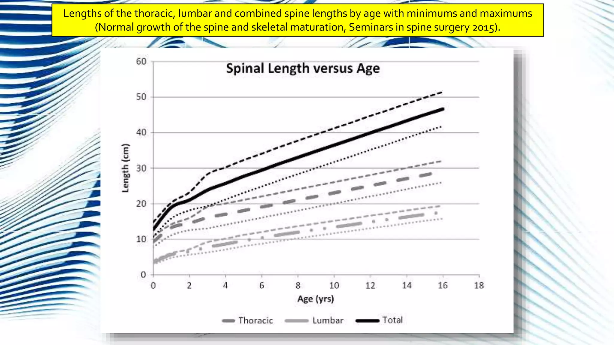 Parametric Human spine. | PPT