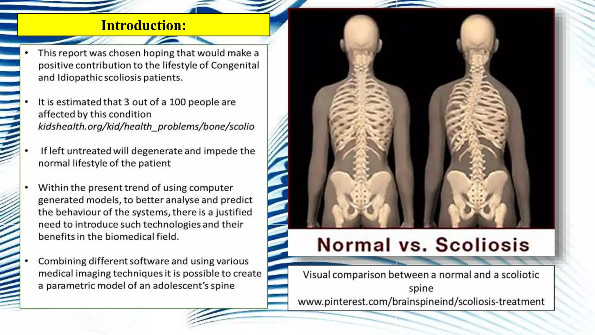 Parametric Human spine. | PPT