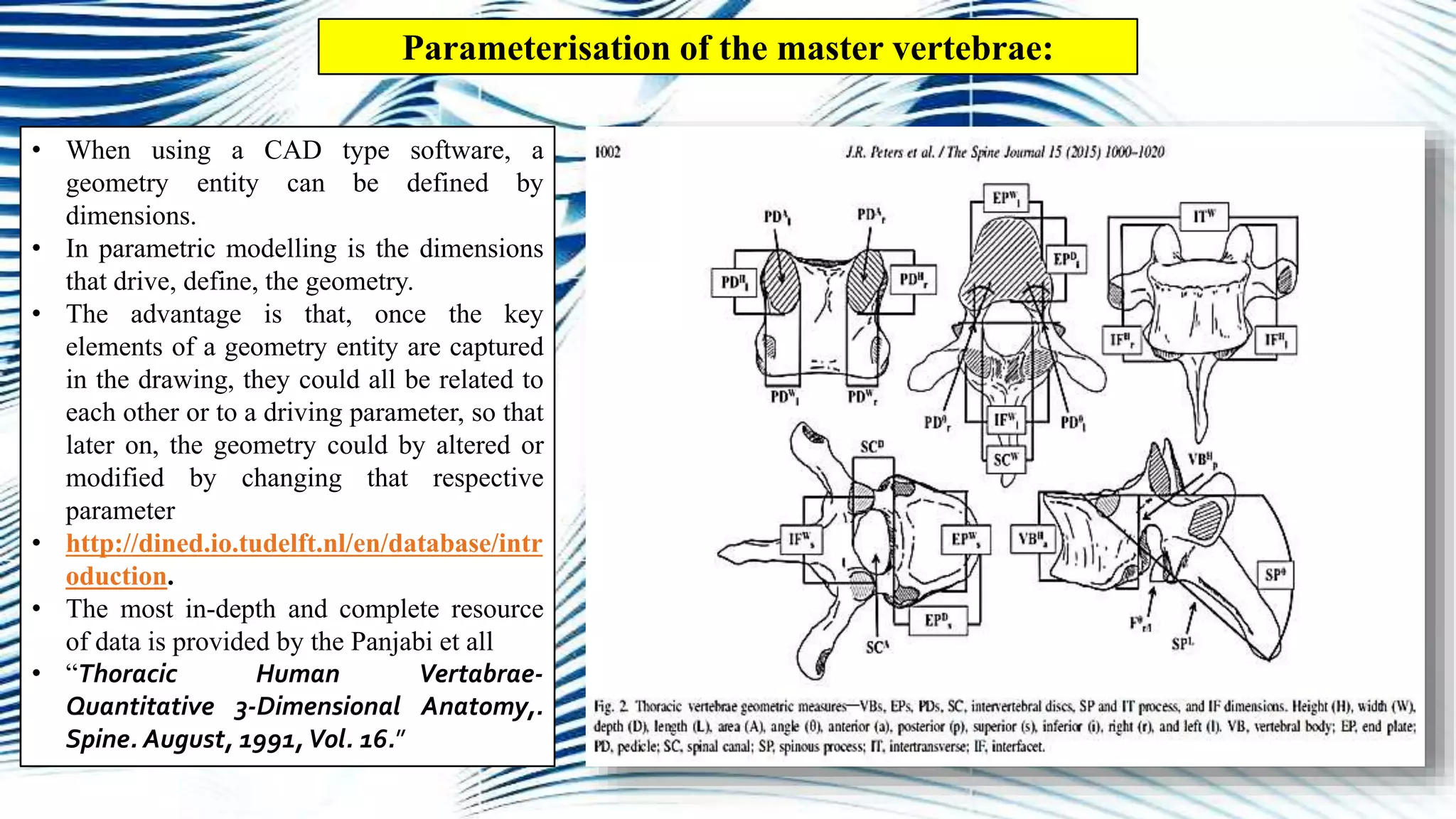 Parametric Human spine. | PPT
