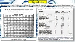 Parametric Human spine. | PPT