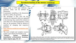 Parametric Human spine. | PPT