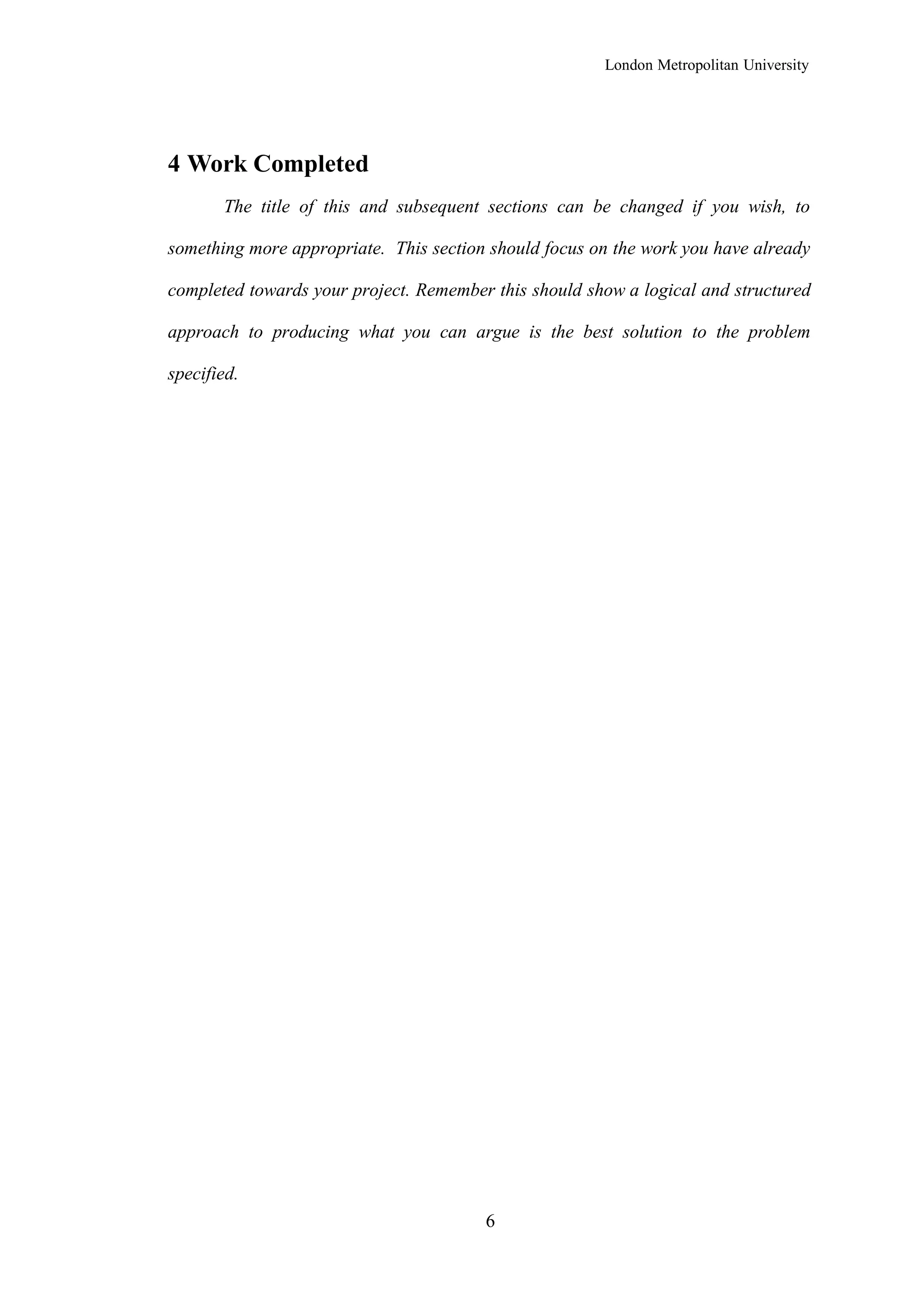 Interim report template | DOC