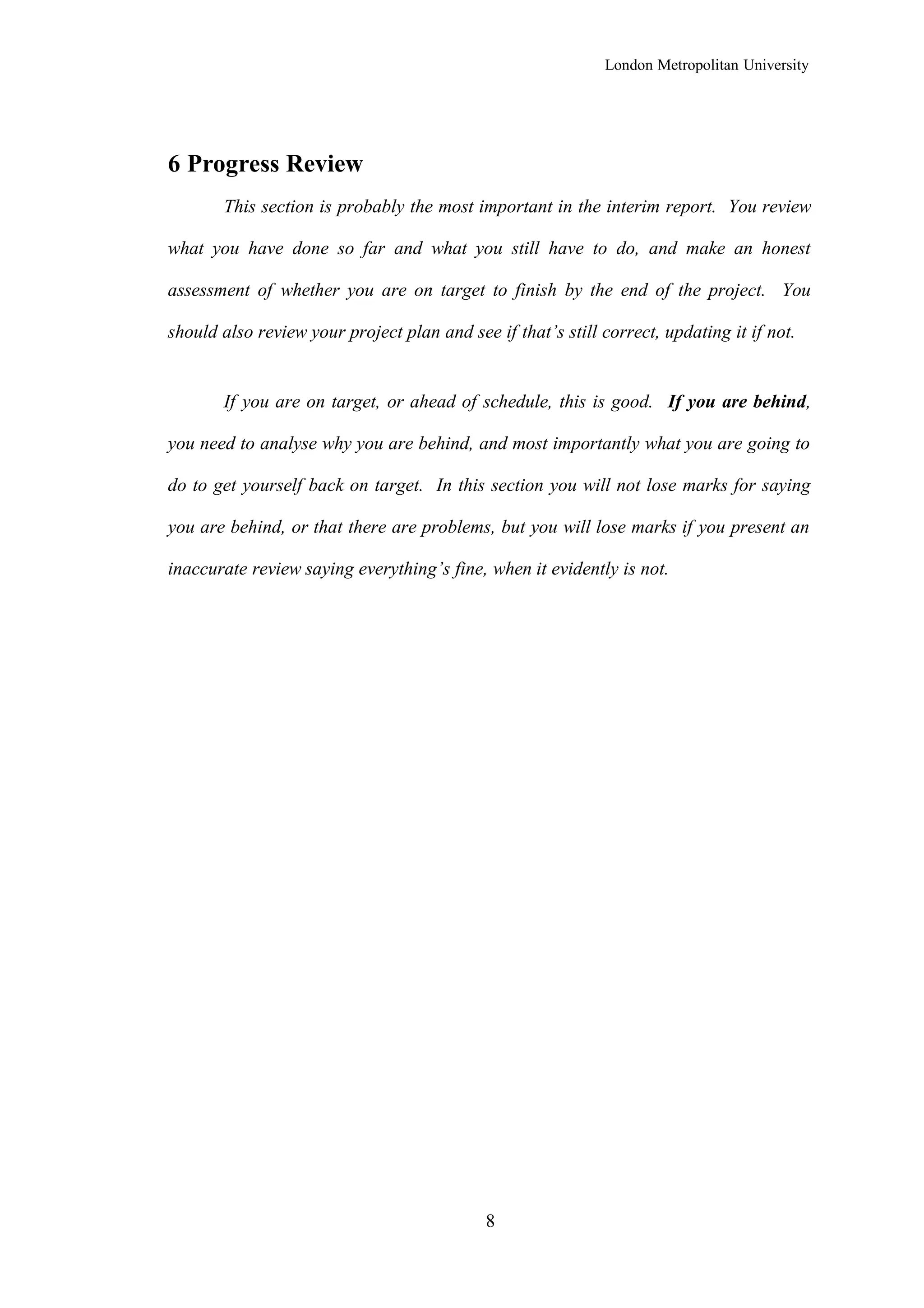 Interim report template | DOC