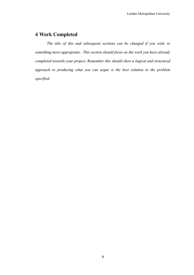 Interim report template | DOC