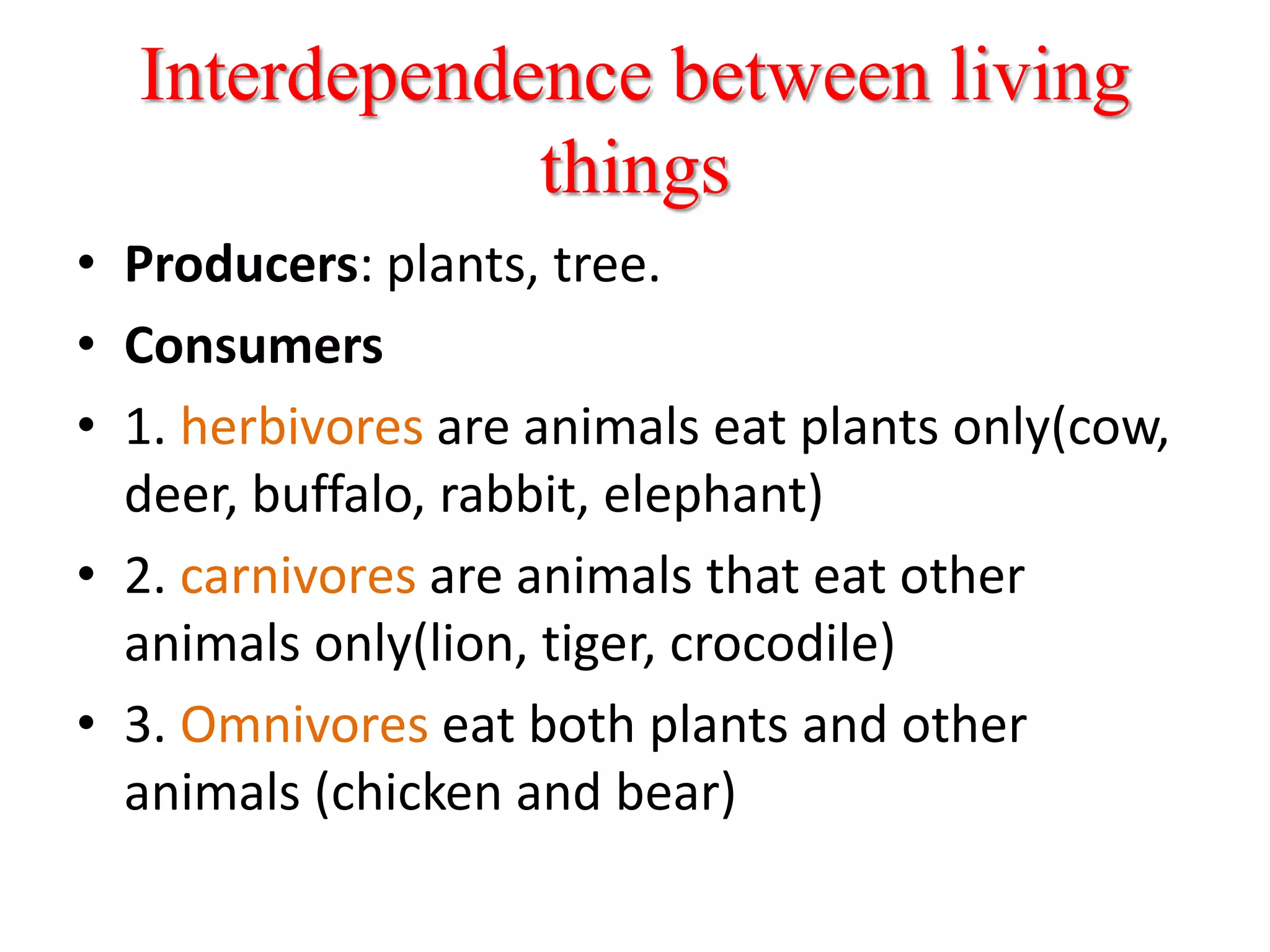 Interindependence | PPTX