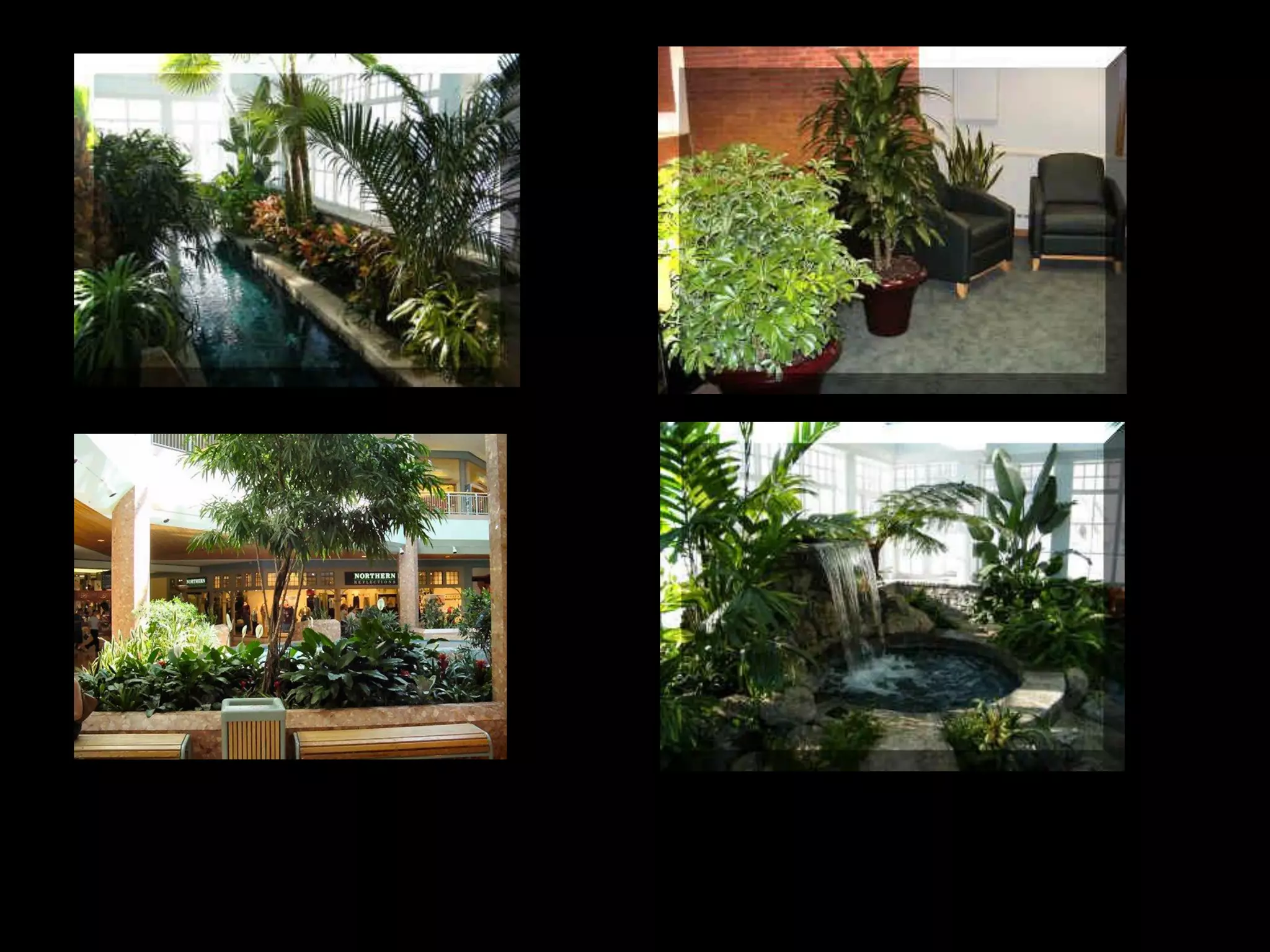 INTERIOR LANDSCAPING.pdf