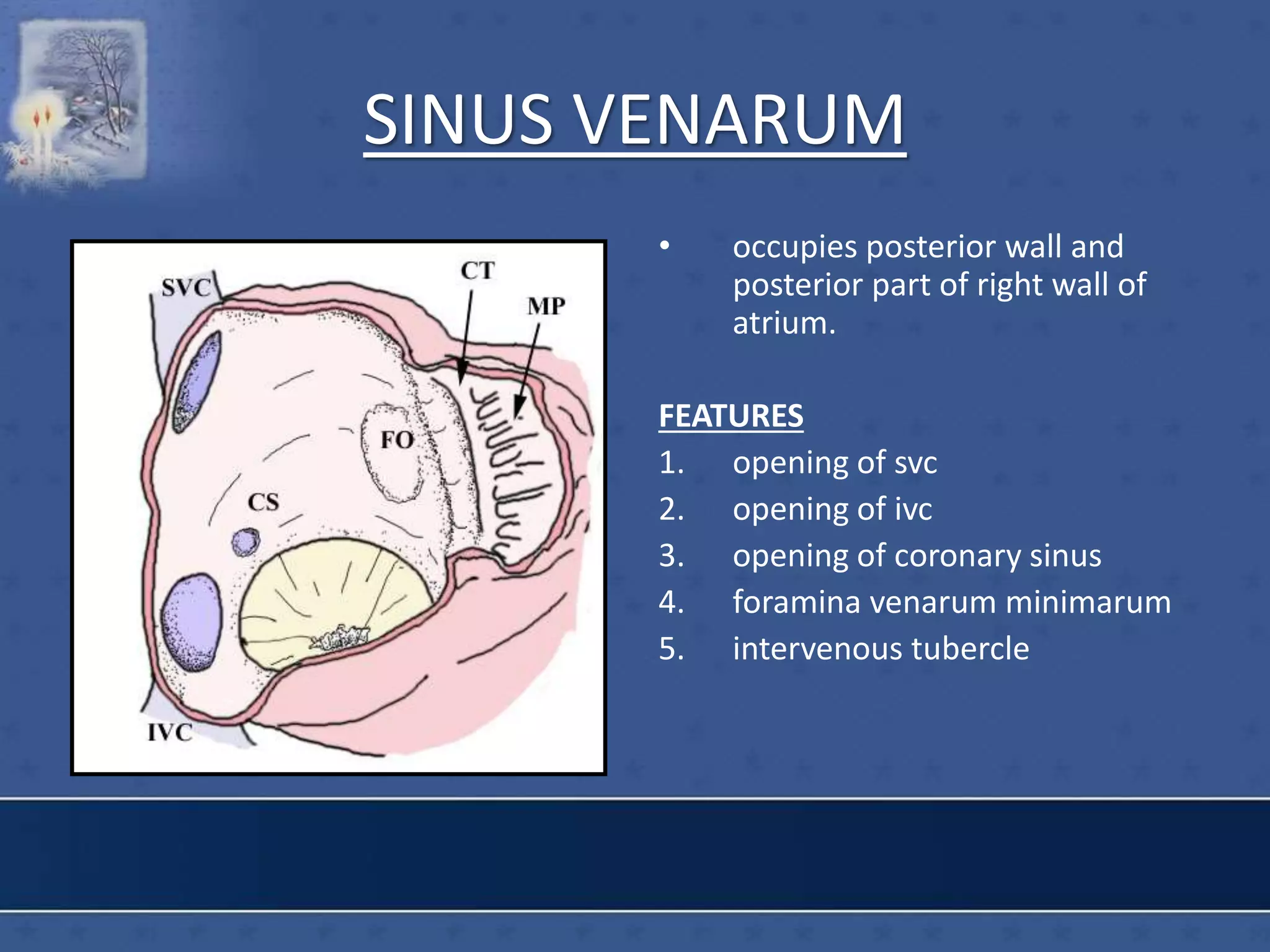 INTERIOR OF HEART.ppt