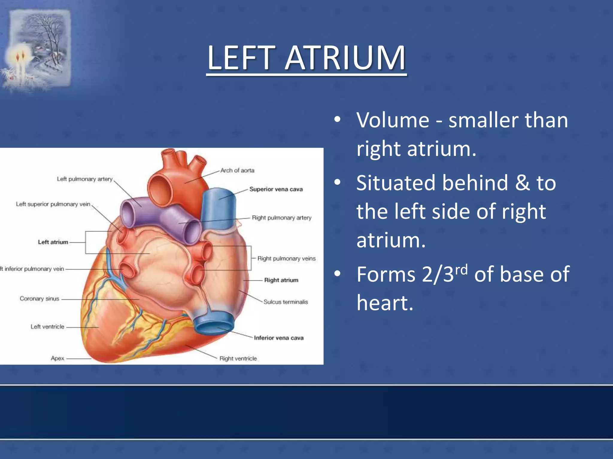 INTERIOR OF HEART.ppt