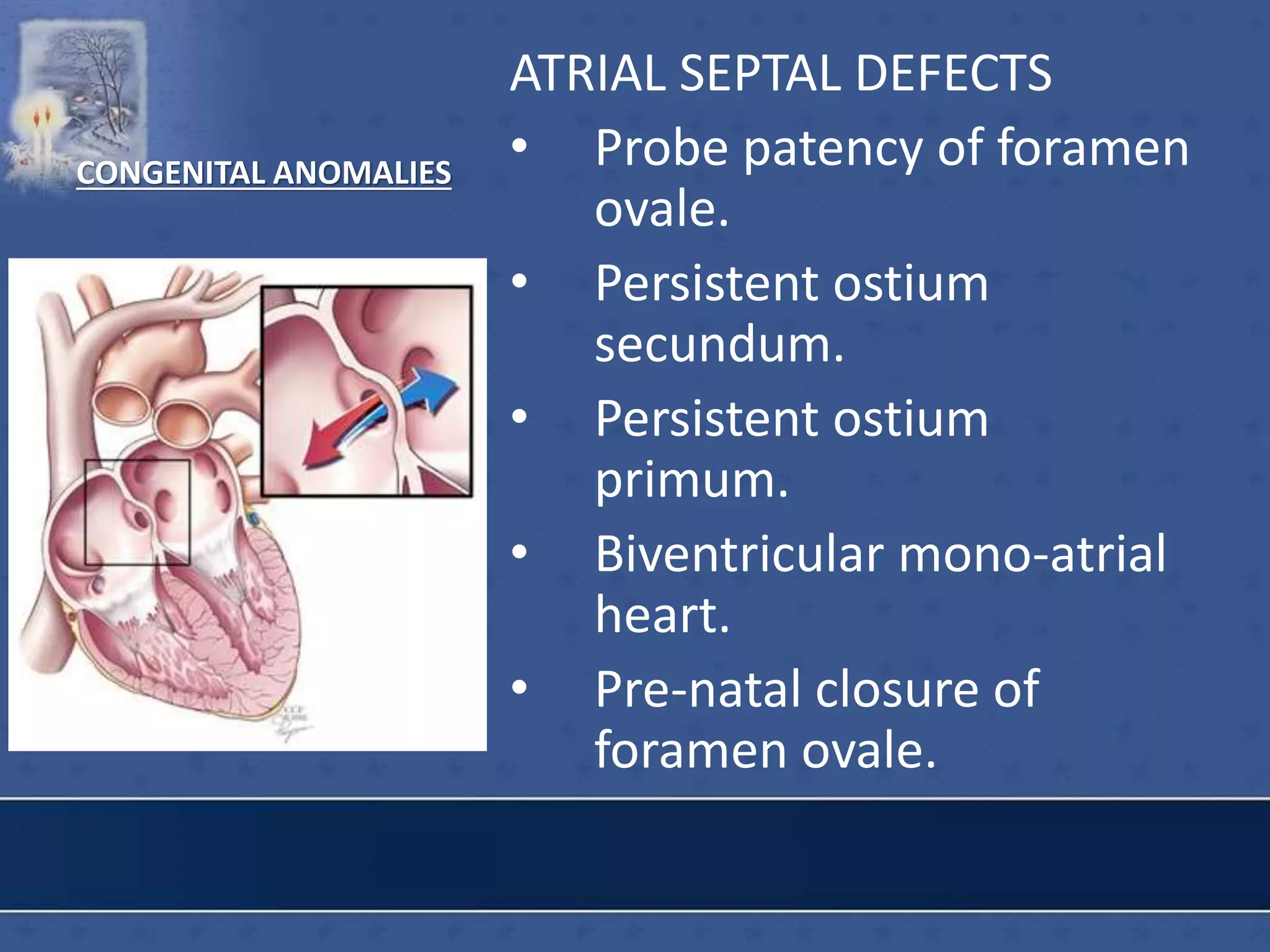 INTERIOR OF HEART.ppt