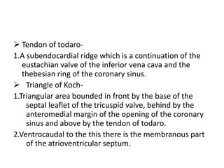 Interior of right atrium | PPTX