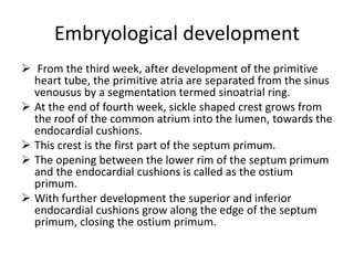 Interior of right atrium | PPTX