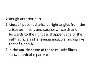 Interior of right atrium | PPTX