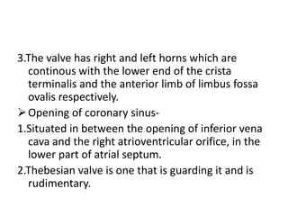 Interior of right atrium | PPTX