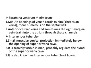 Interior of right atrium | PPTX