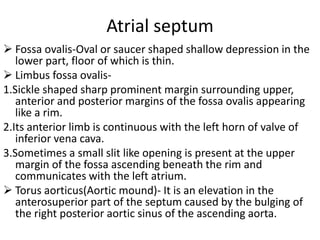 Interior of right atrium | PPTX
