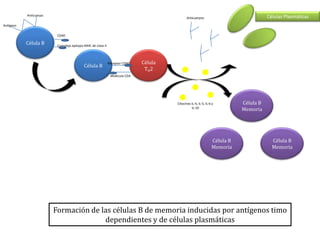 Interleucinas | PPTX