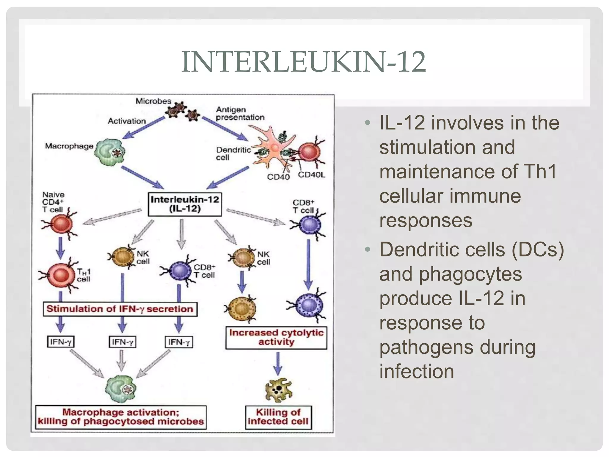 Interleukin.pptx | Genetics | Science