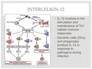Interleukin.pptx