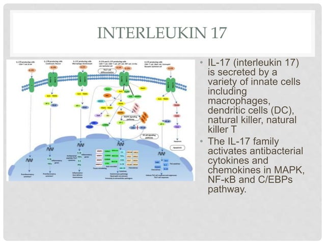 Interleukin.pptx | Genetics | Science
