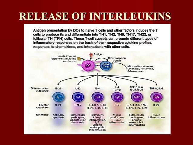 Interleukin's By Deepak Joshi | PPT