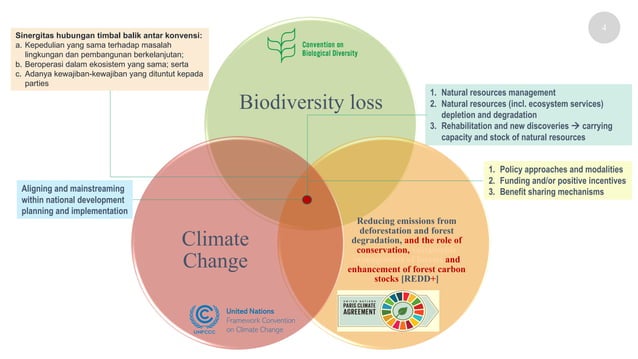Interlinkage Climate Change and Biodiversity_17032023.pdf