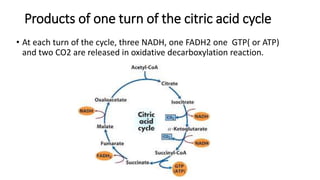 Citric acid cycle/ TCA cycle/ Kreb's cycle | PPT