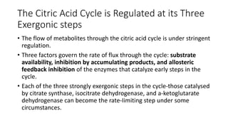 Citric acid cycle/ TCA cycle/ Kreb's cycle | PPT