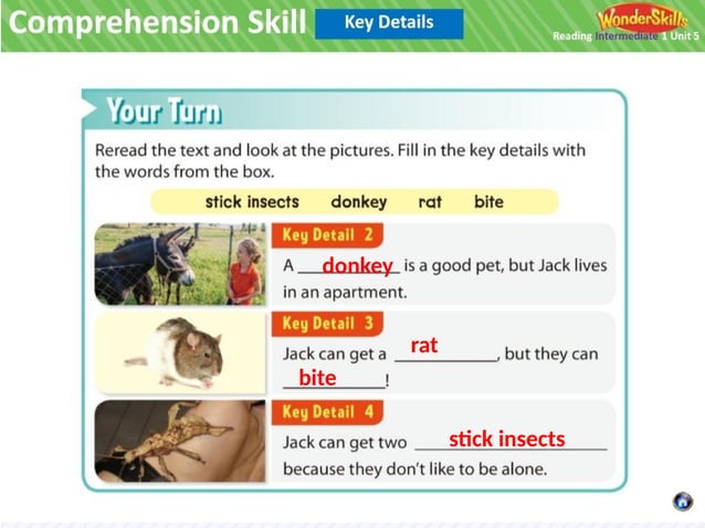 Intermediate 1 Unit 5 Jack_s Unusual Pet (1).pptx