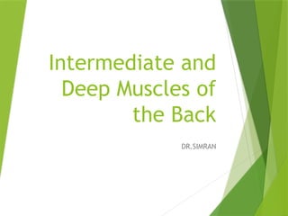 Intermediate_and_Deep_Back_Muscles_Presentation[1].pptx