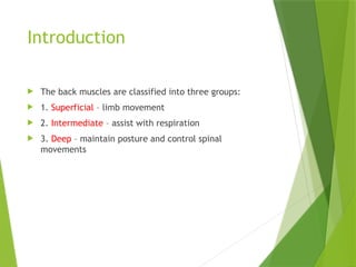 Intermediate_and_Deep_Back_Muscles_Presentation[1].pptx