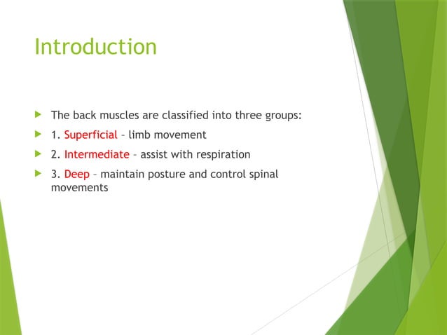 Intermediate_and_Deep_Back_Muscles_Presentation[1].pptx
