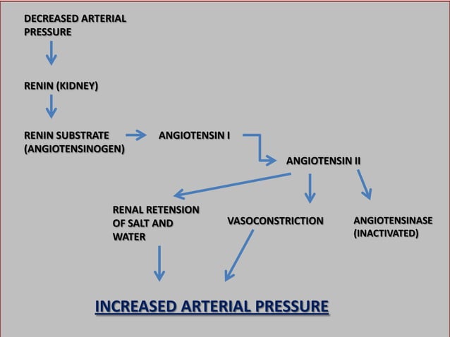 Intermediate control mechanism | PPTX | Heart and Cardiovascular ...