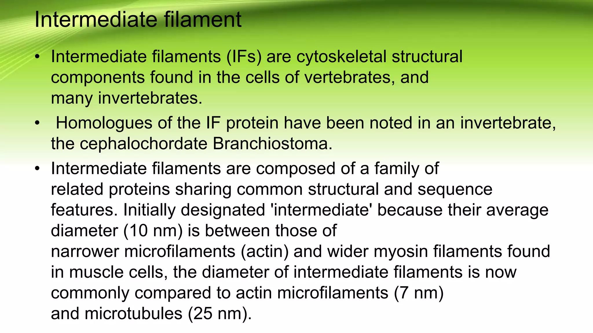 Intermediate filament | PPTX